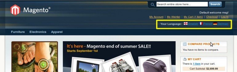 Replace Default Store Switcher On Magento And Display Flags - My Adventures